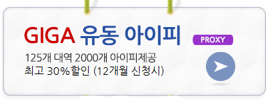 무료 VPN 선두주자 - GIGA IP